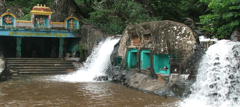 How to Reach Kallathigiri Falls - River Woods Homestay